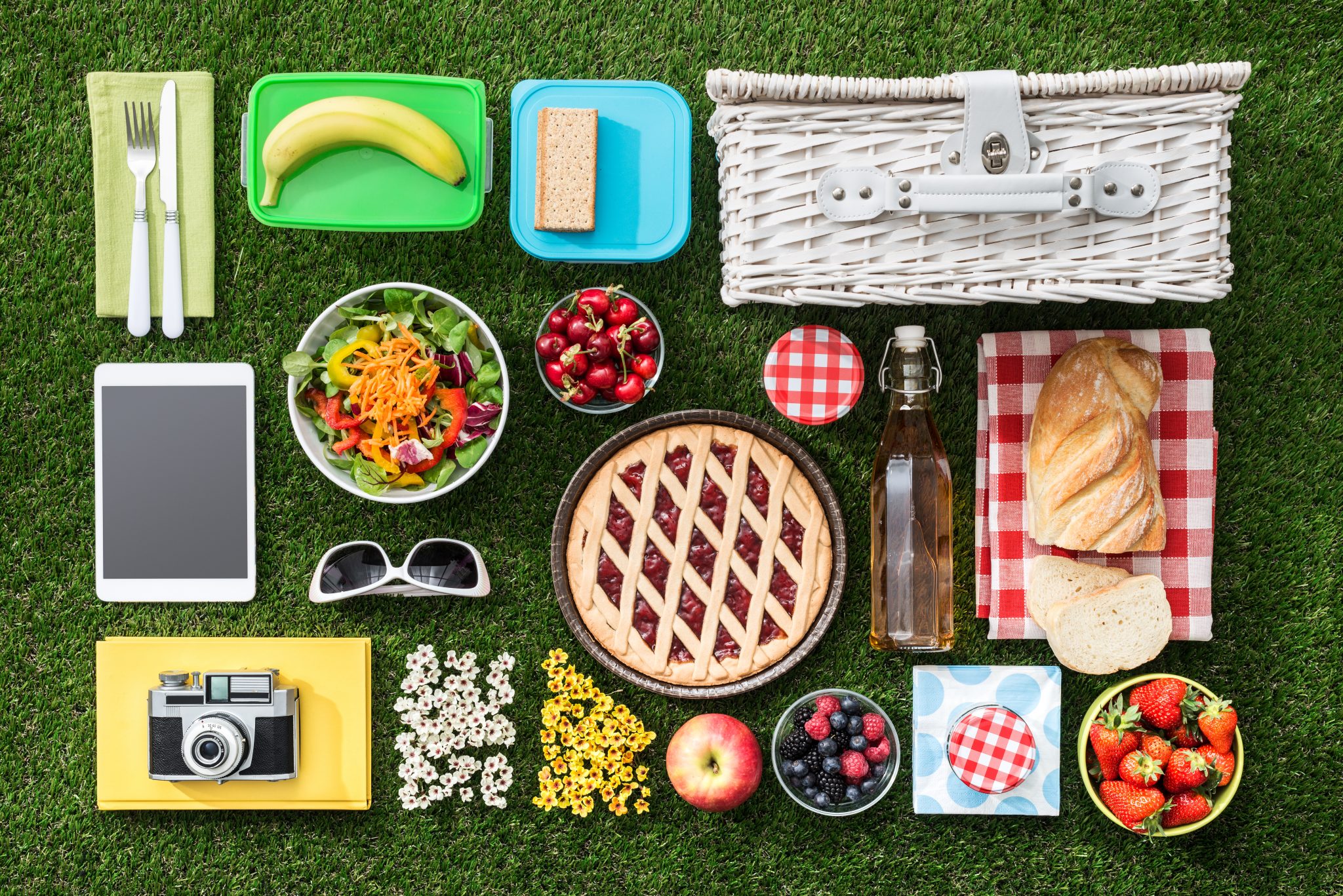 The Joy of Picnicking: Your Essential How-To Guide